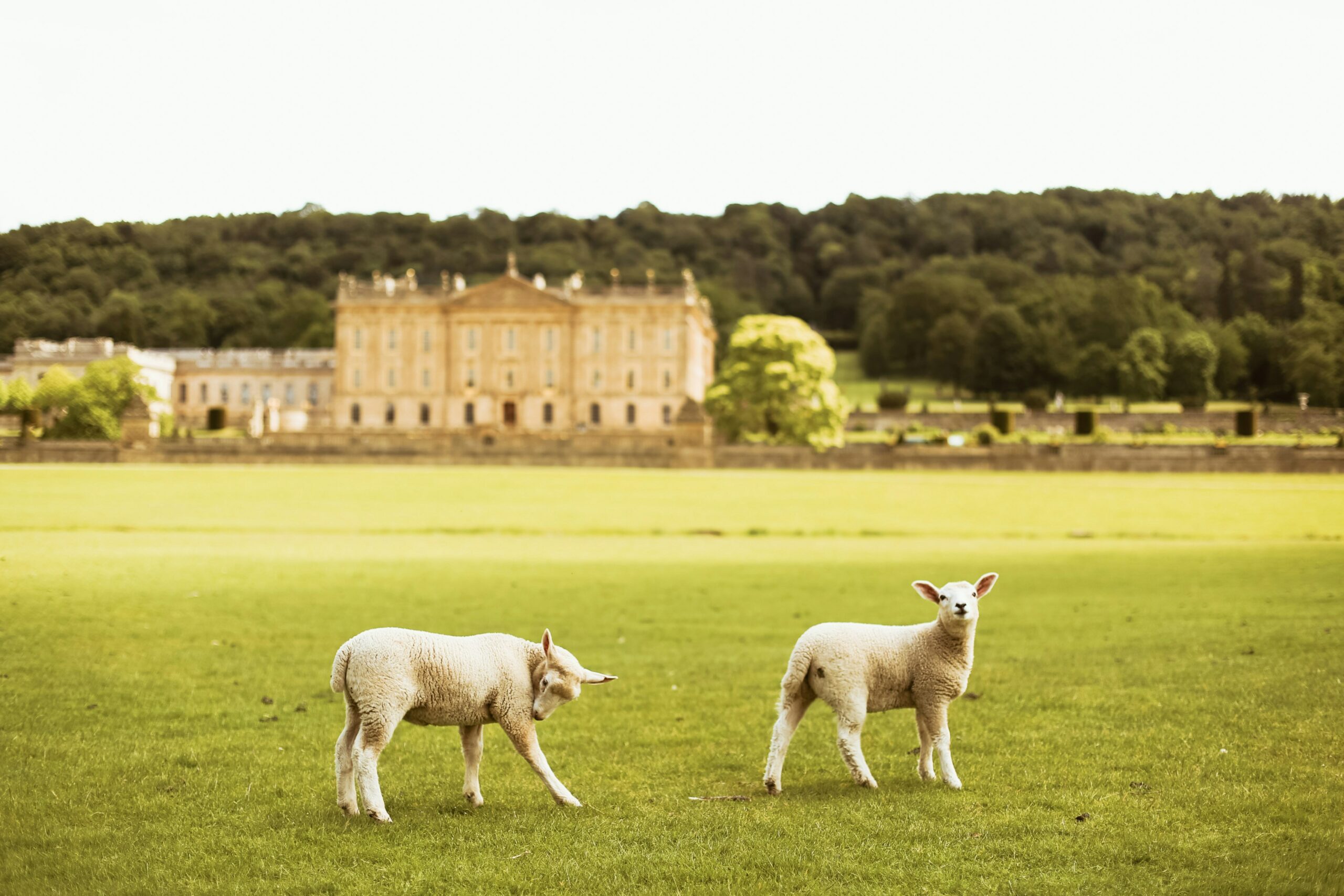 Top 10 Most Beautiful Country Houses in the UK - Hayes Parsons