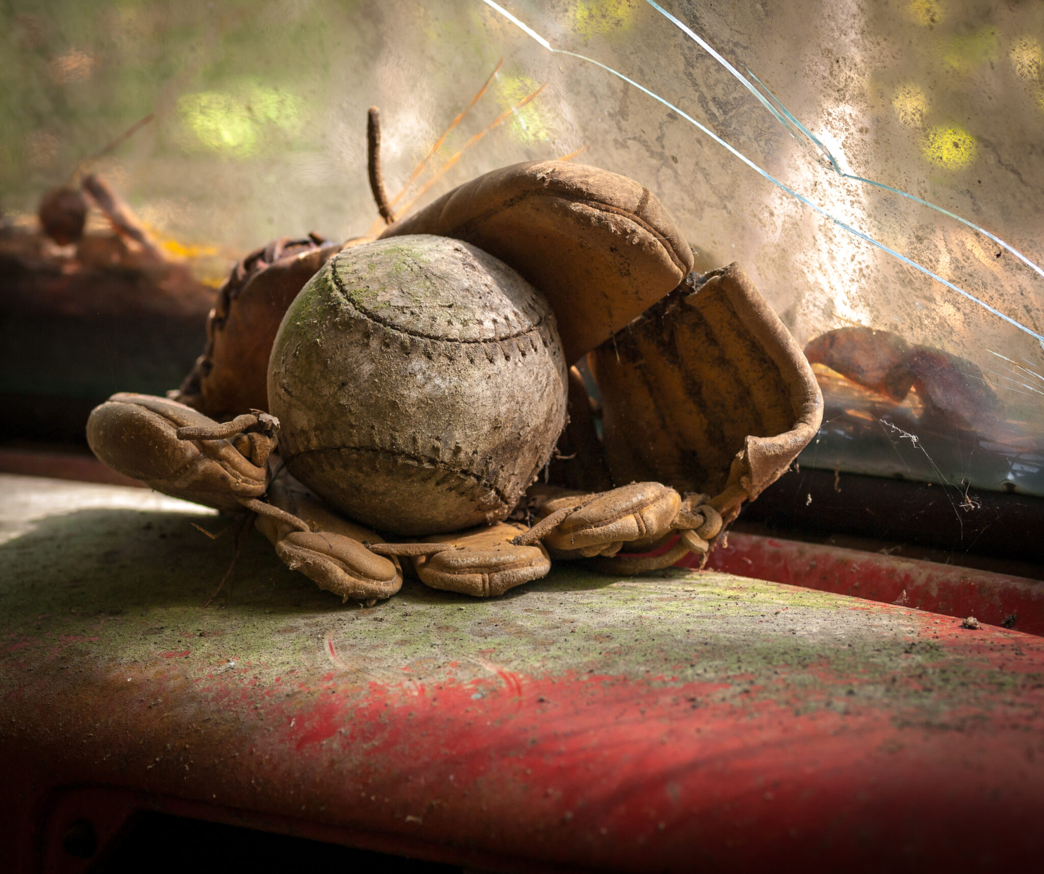 The Top 10 Most Valuable Collectibles - Hayes Parsons